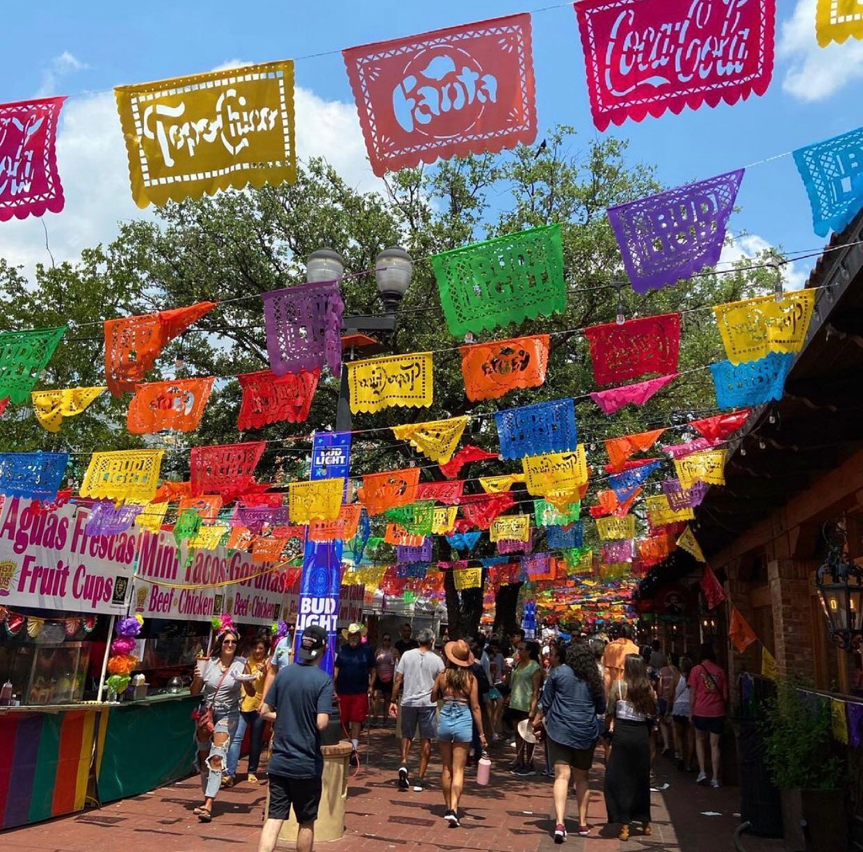 Fiesta Must-Haves! – Feliz Modern