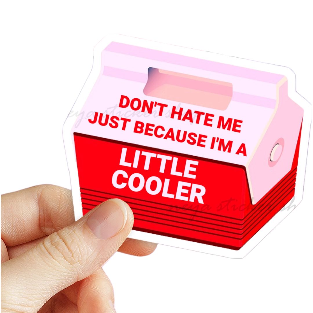 NSS Little Cooler Sticker – Feliz Modern